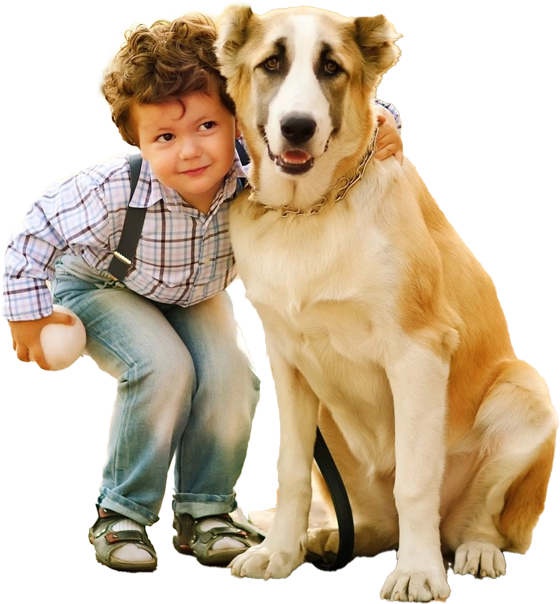 Discover ACM20121 Certificate II in Animal Care Details Discover ACM20121 Certificate II in Animal Care Details
